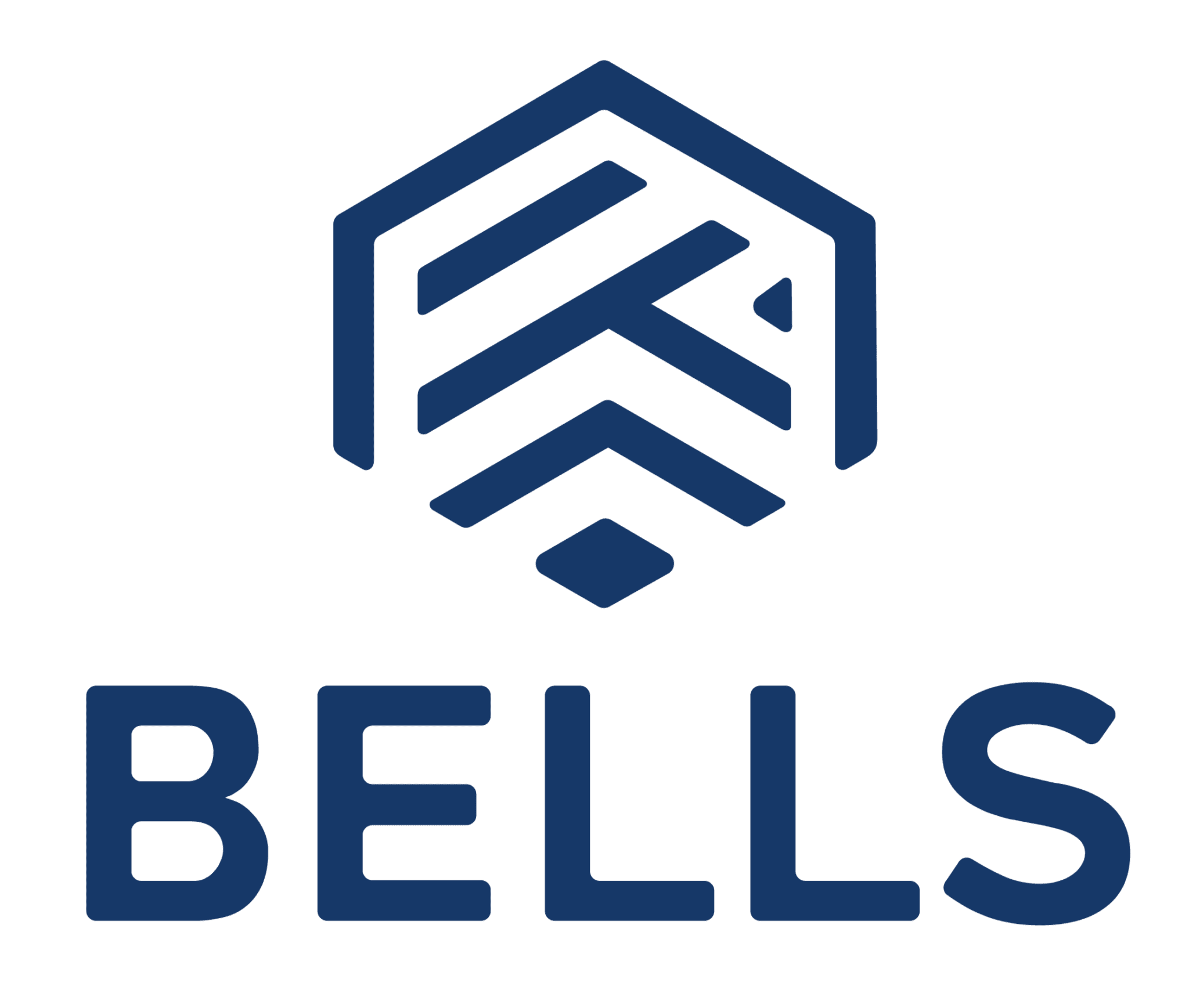 BELLS Institute - Who We Are